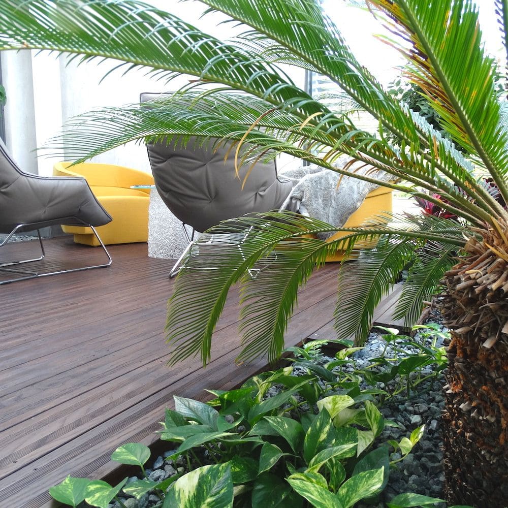 Gradina interioara – Firma amenajari gradini si spatii verzi in ...